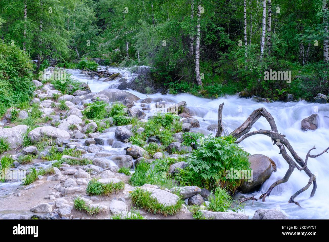 Alma arasan gorge hi-res stock photography and images - Alamy
