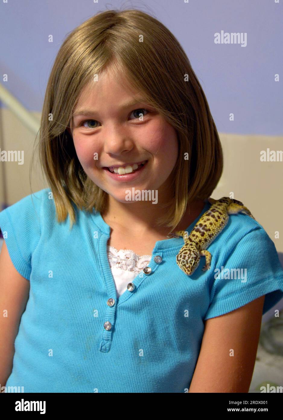 Child allows her pet Leopard Gecko to climb on her shoulder. She is ...