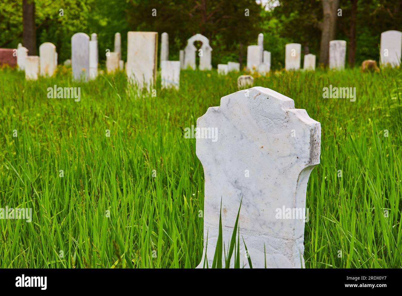 Headstones, graves, tall green grass, religious, graveyard, background ...