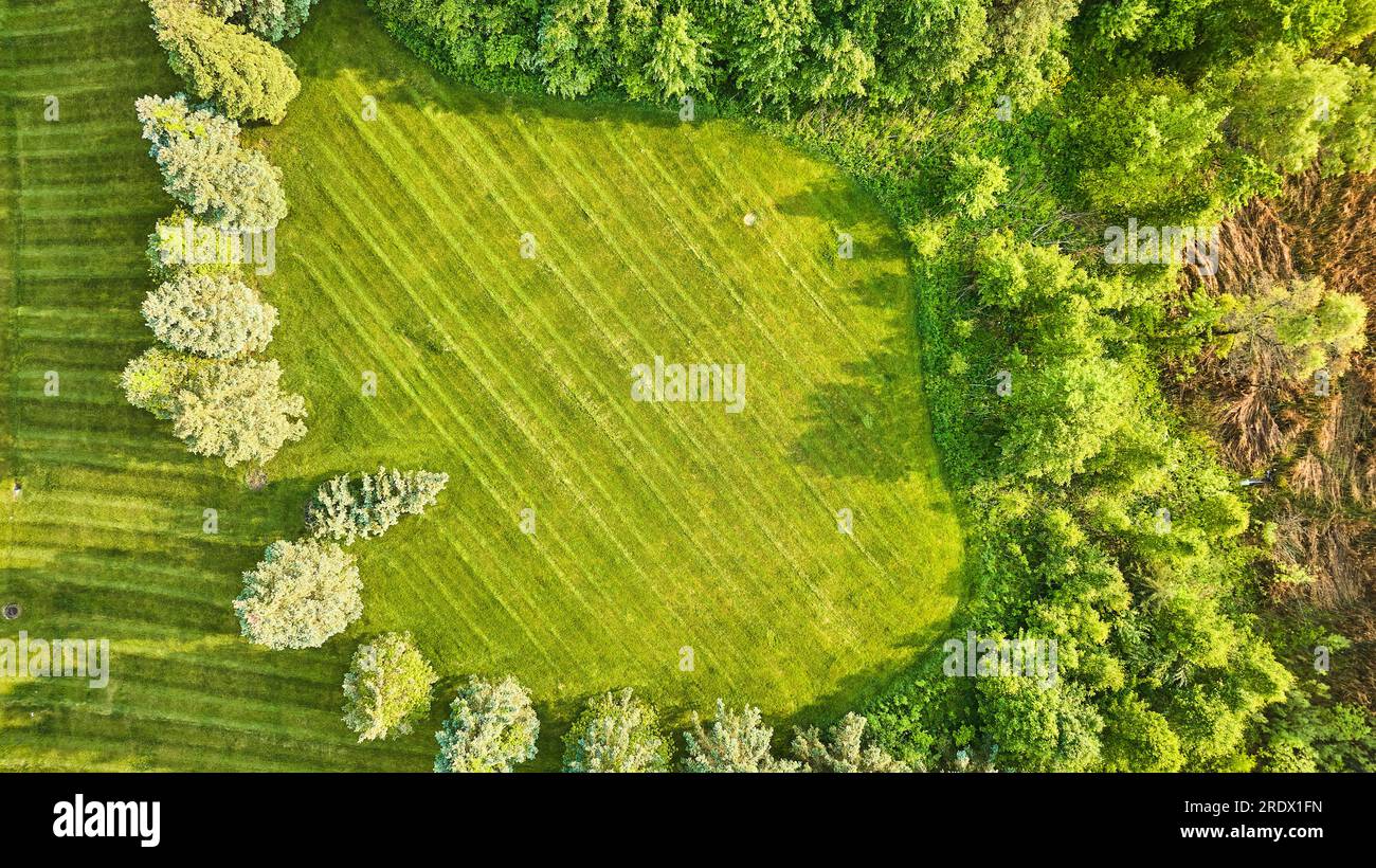 Fresh cut lawn with horizontal lines, landscaping, and forest golf ...