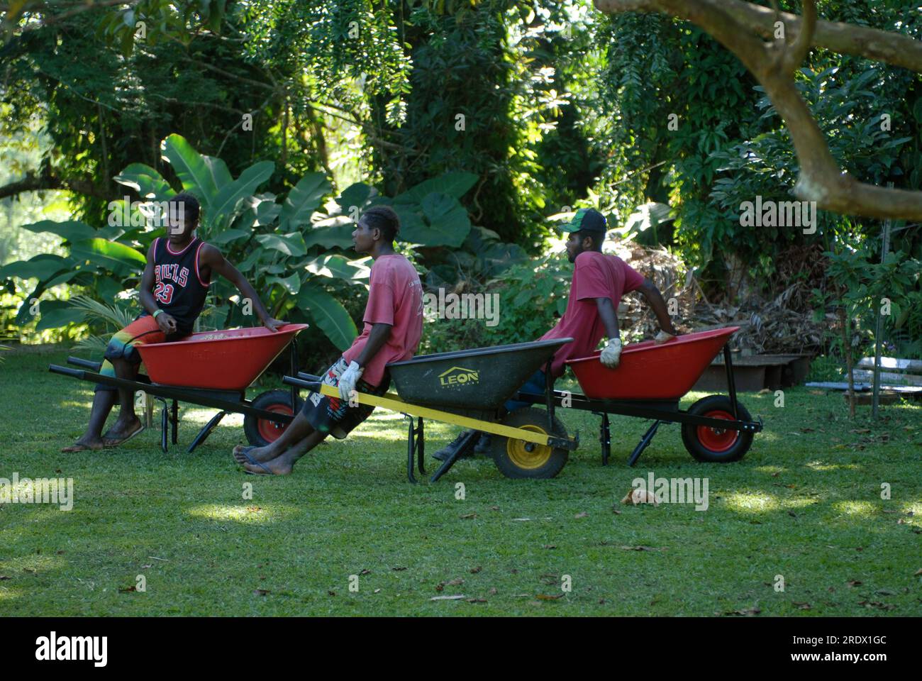 Three workmen repairing the Vanuatu Sky Bridge, Devil's Point Rd, Port ...