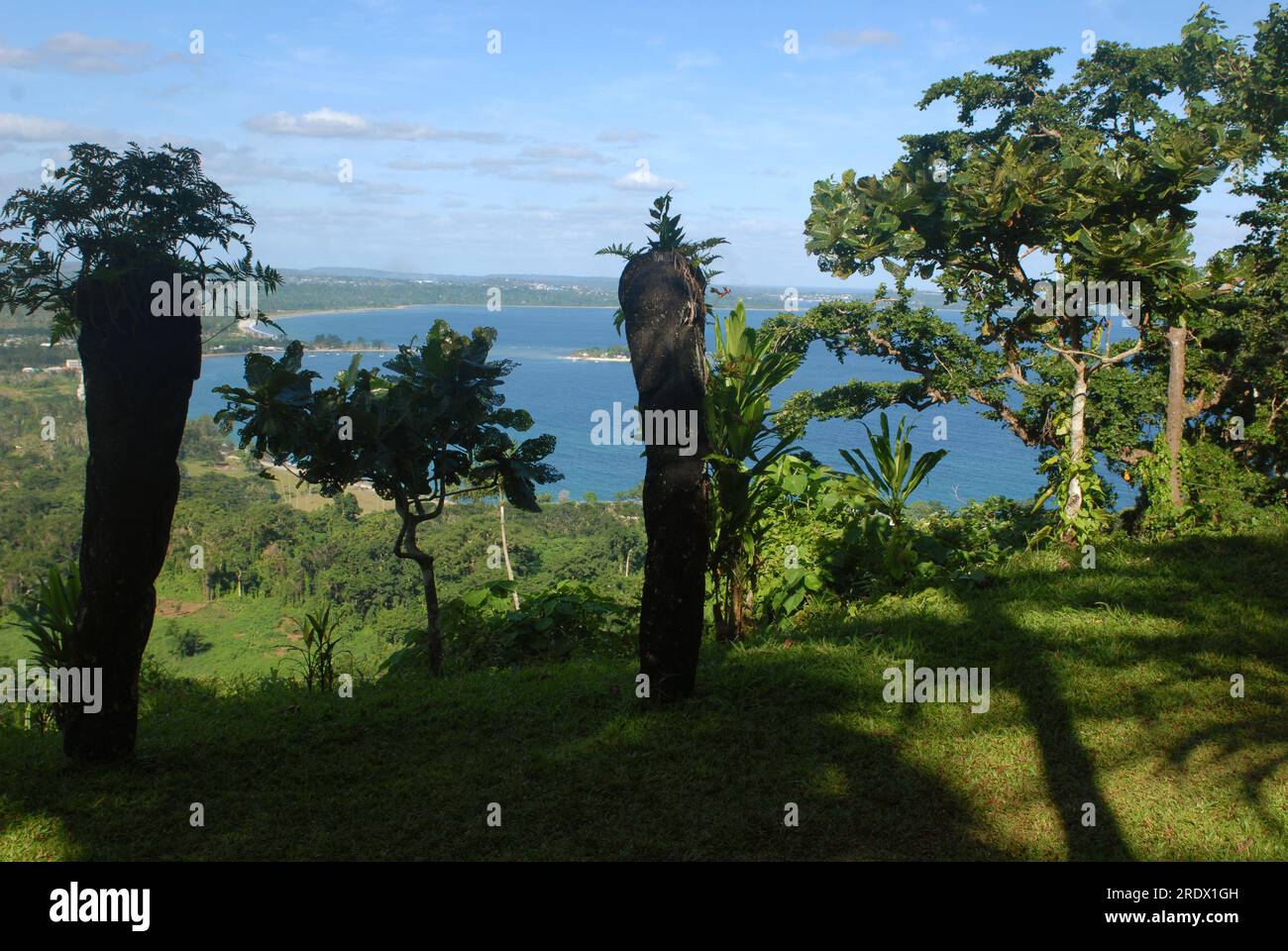 Tree Fern Sculptures, Vanuatu Sky Bridge, Devil's Point Rd, Port Vila ...