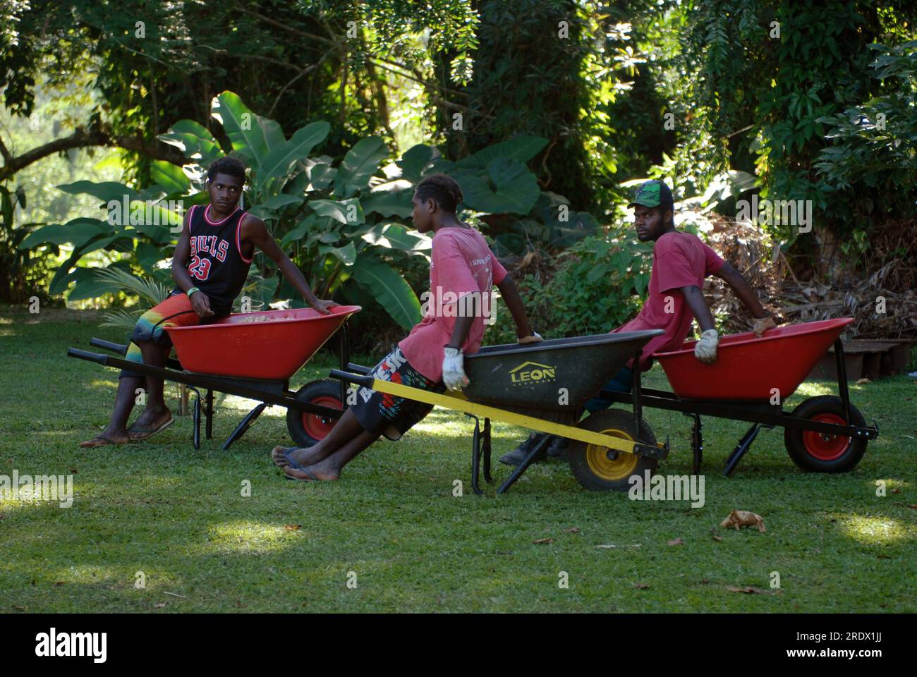 Three workmen repairing the Vanuatu Sky Bridge, Devil's Point Rd, Port ...