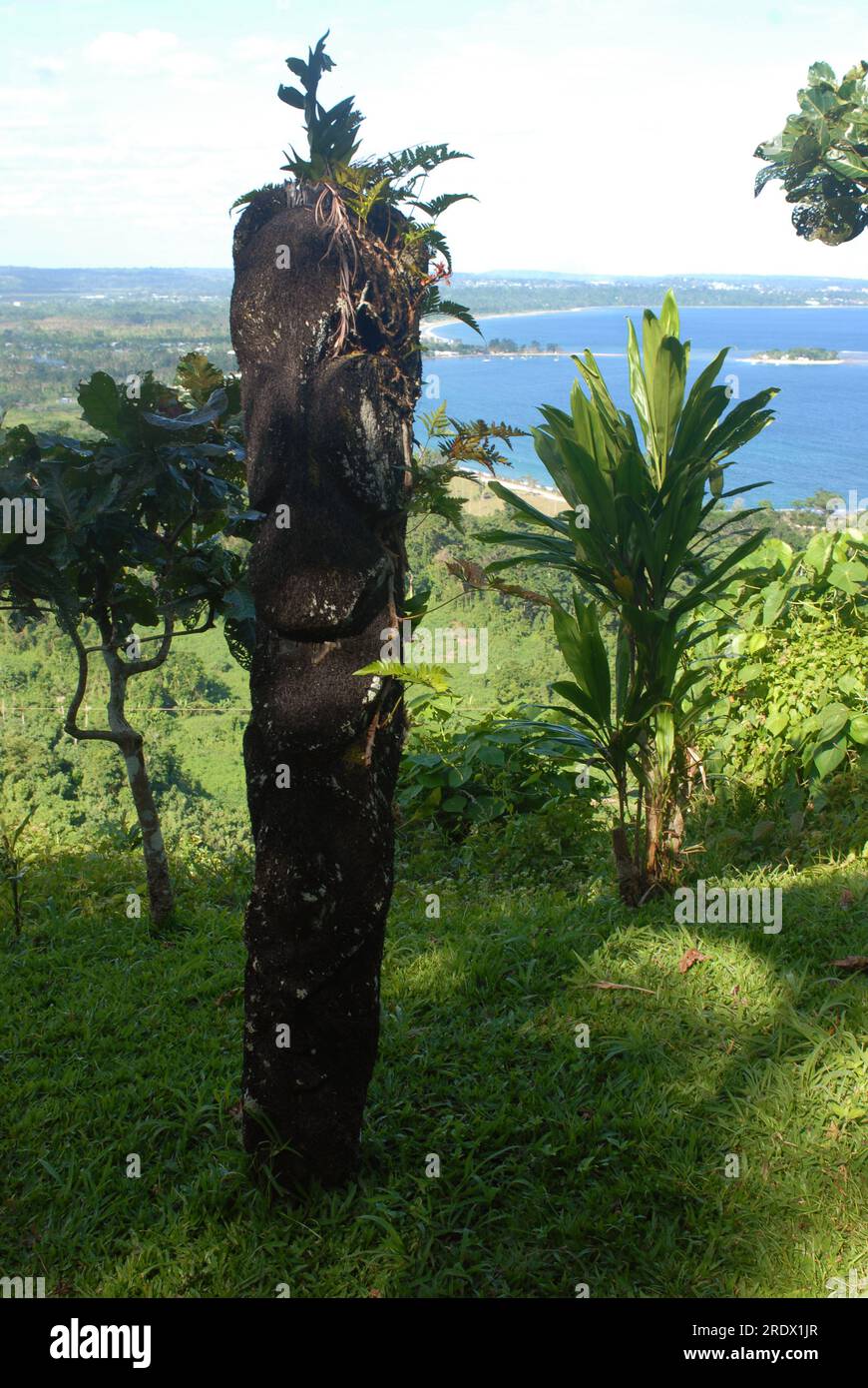 Tree Fern Sculptures, Vanuatu Sky Bridge, Devil's Point Rd, Port Vila ...