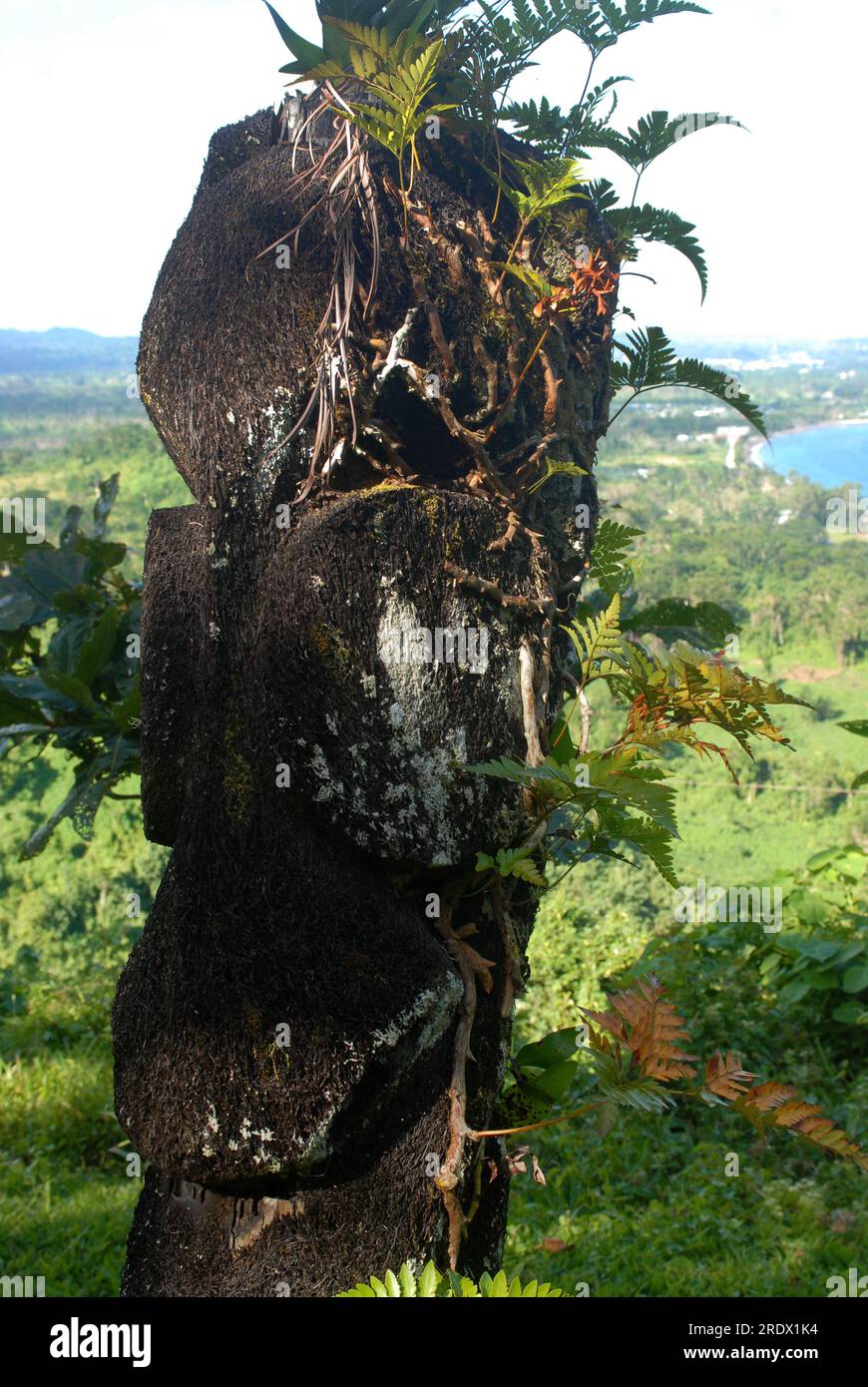 Tree Fern Sculptures, Vanuatu Sky Bridge, Devil's Point Rd, Port Vila ...