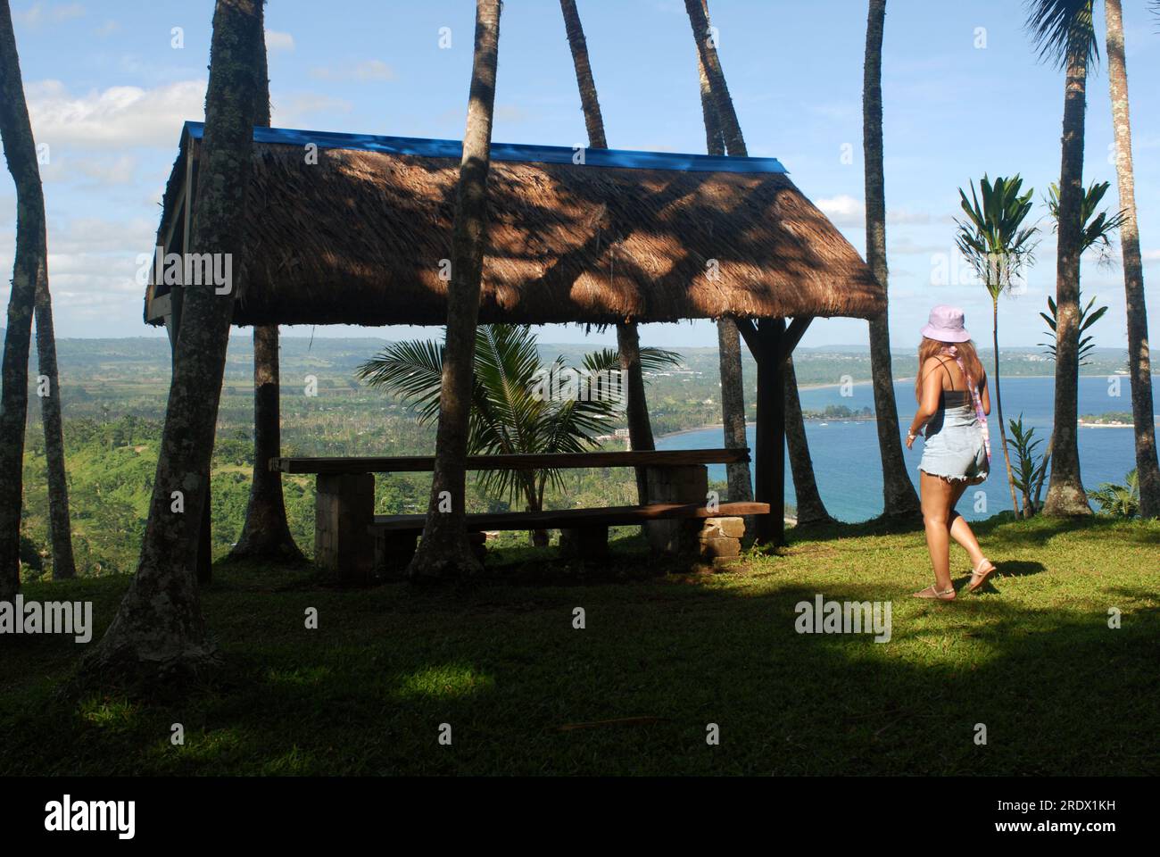 Vanuatu Sky Bridge, Devil's Point Rd, Port Vila, Vanuatu Stock Photo ...