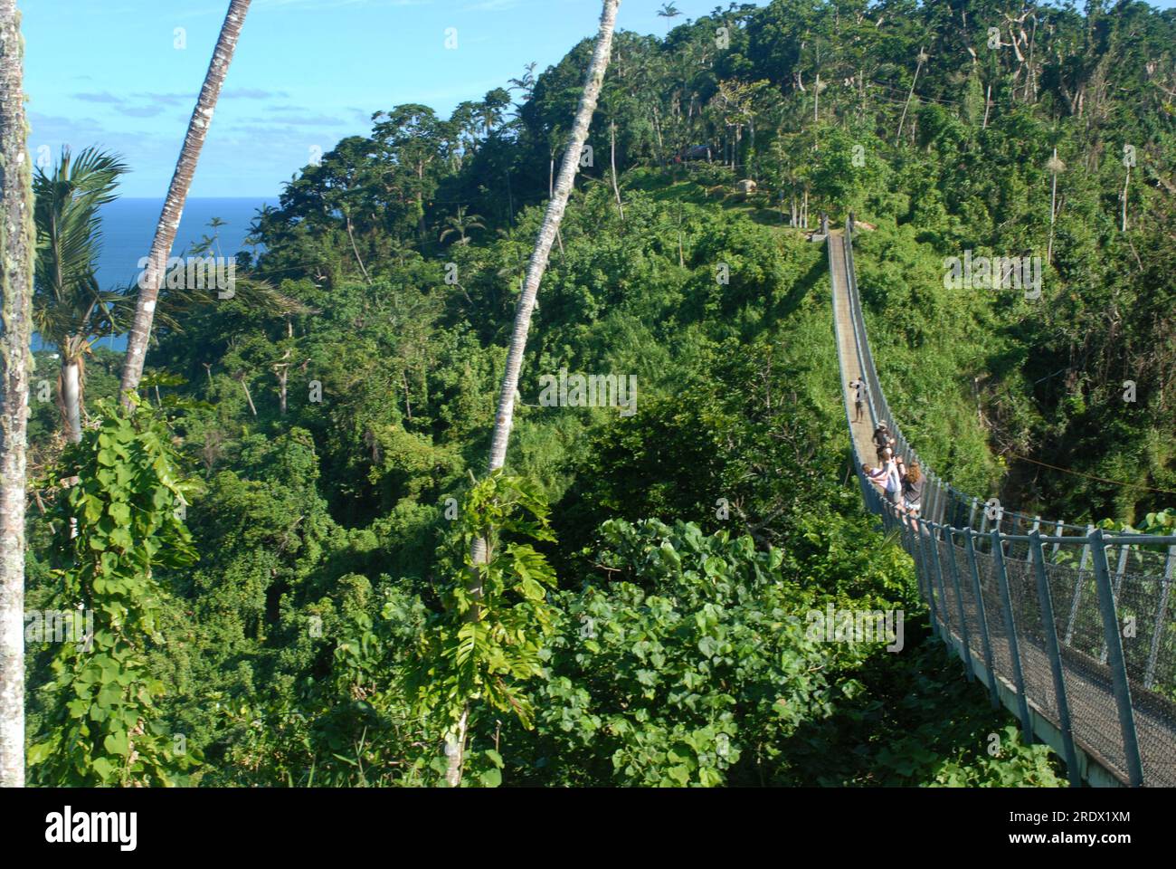 Tourists on the Vanuatu Sky Bridge, Devil's Point Rd, Port Vila ...