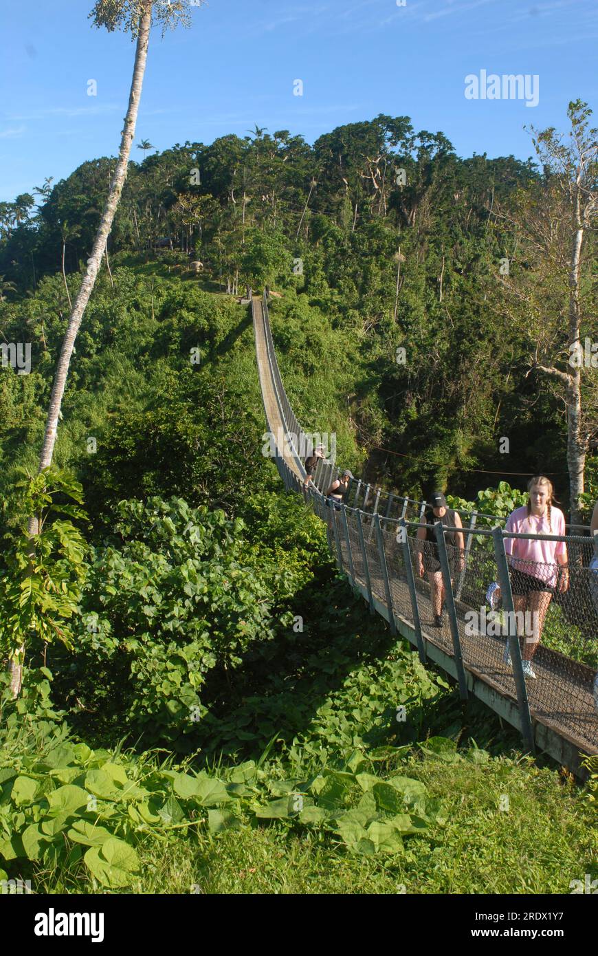 Tourists on the Vanuatu Sky Bridge, Devil's Point Rd, Port Vila ...