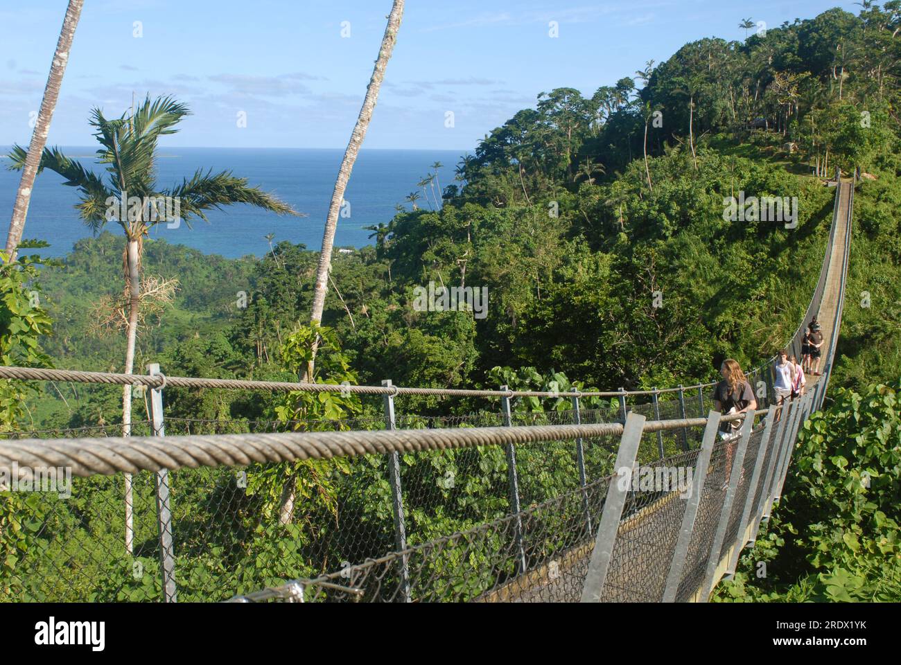 Tourists on the Vanuatu Sky Bridge, Devil's Point Rd, Port Vila ...