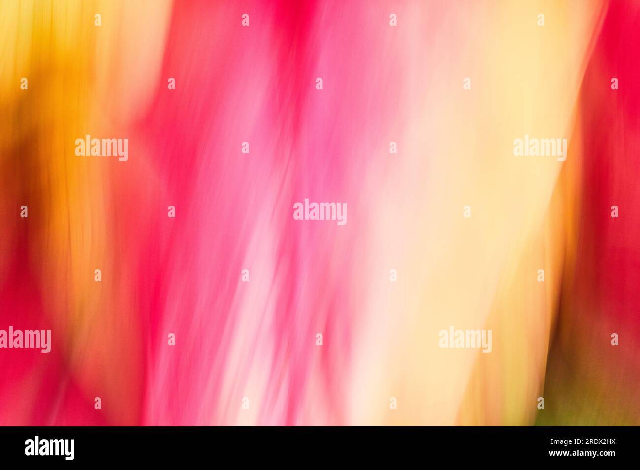 Abstract art background asset of light and streams of pink and yellow ...