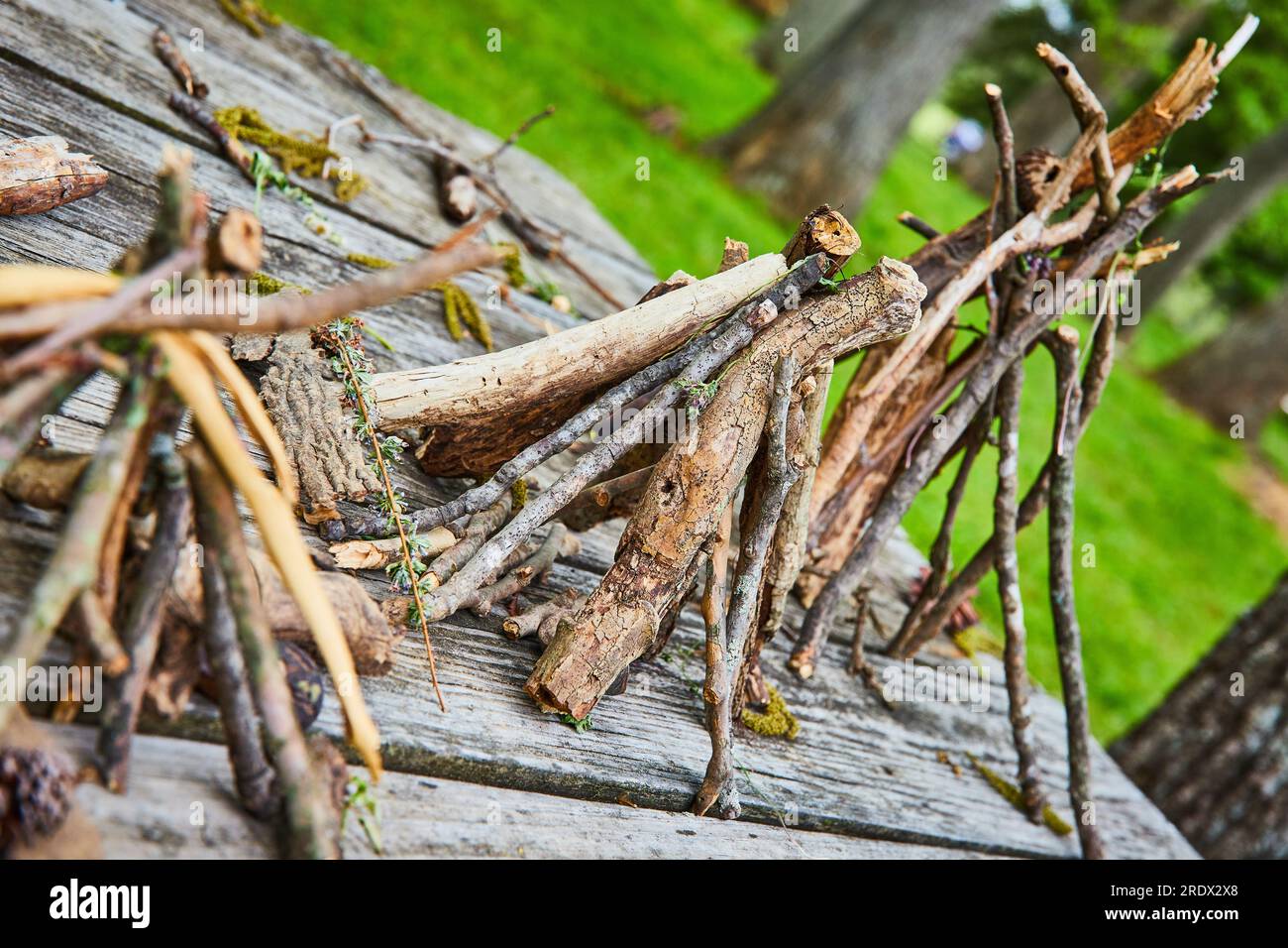 Tilted view of picnic table wood in a park with tree trunks covered in ...