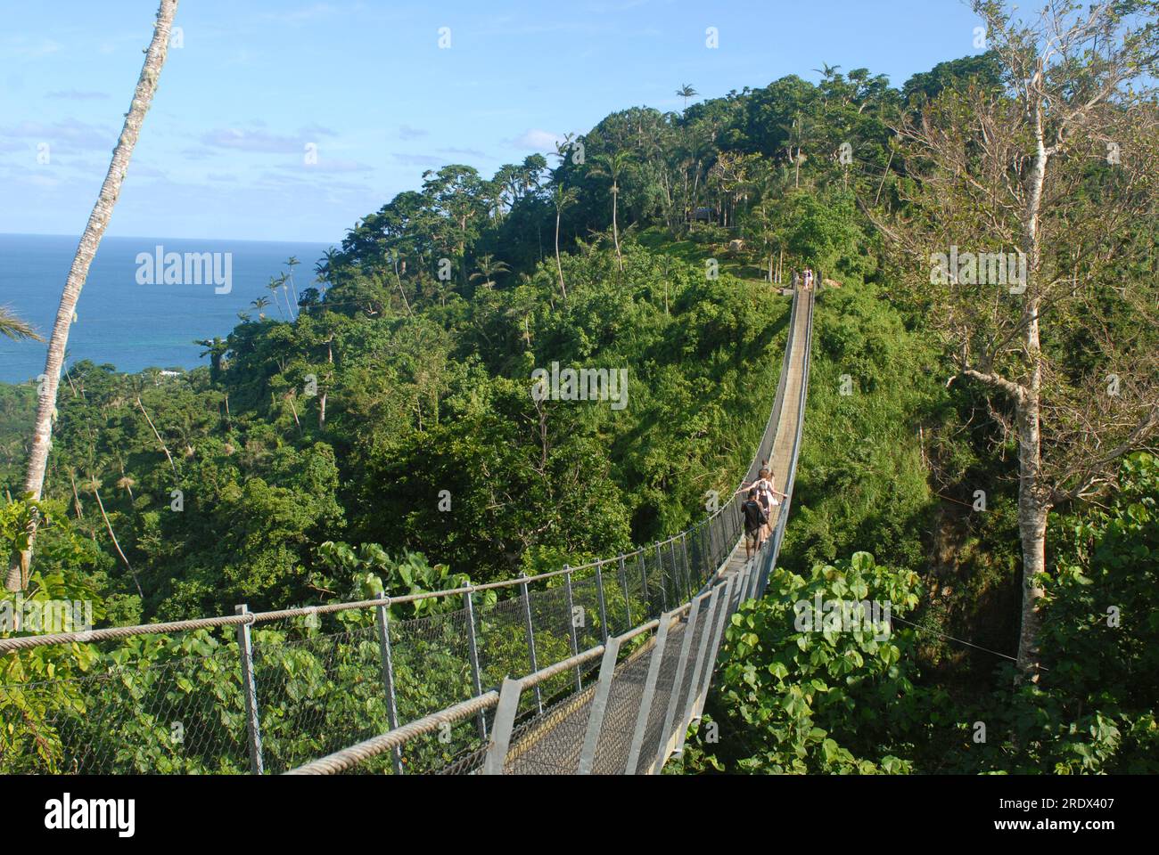 Tourists Vanuatu Sky Bridge, Devil's Point Rd, Port Vila, Vanuatu Stock ...