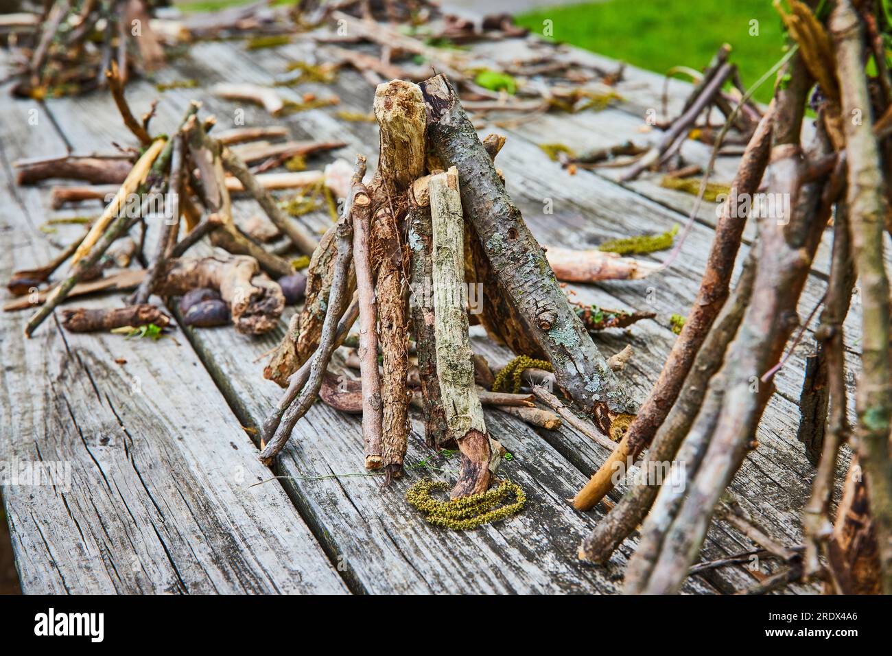 Picnic table wood covered in small stick teepee piles Stock Photo - Alamy