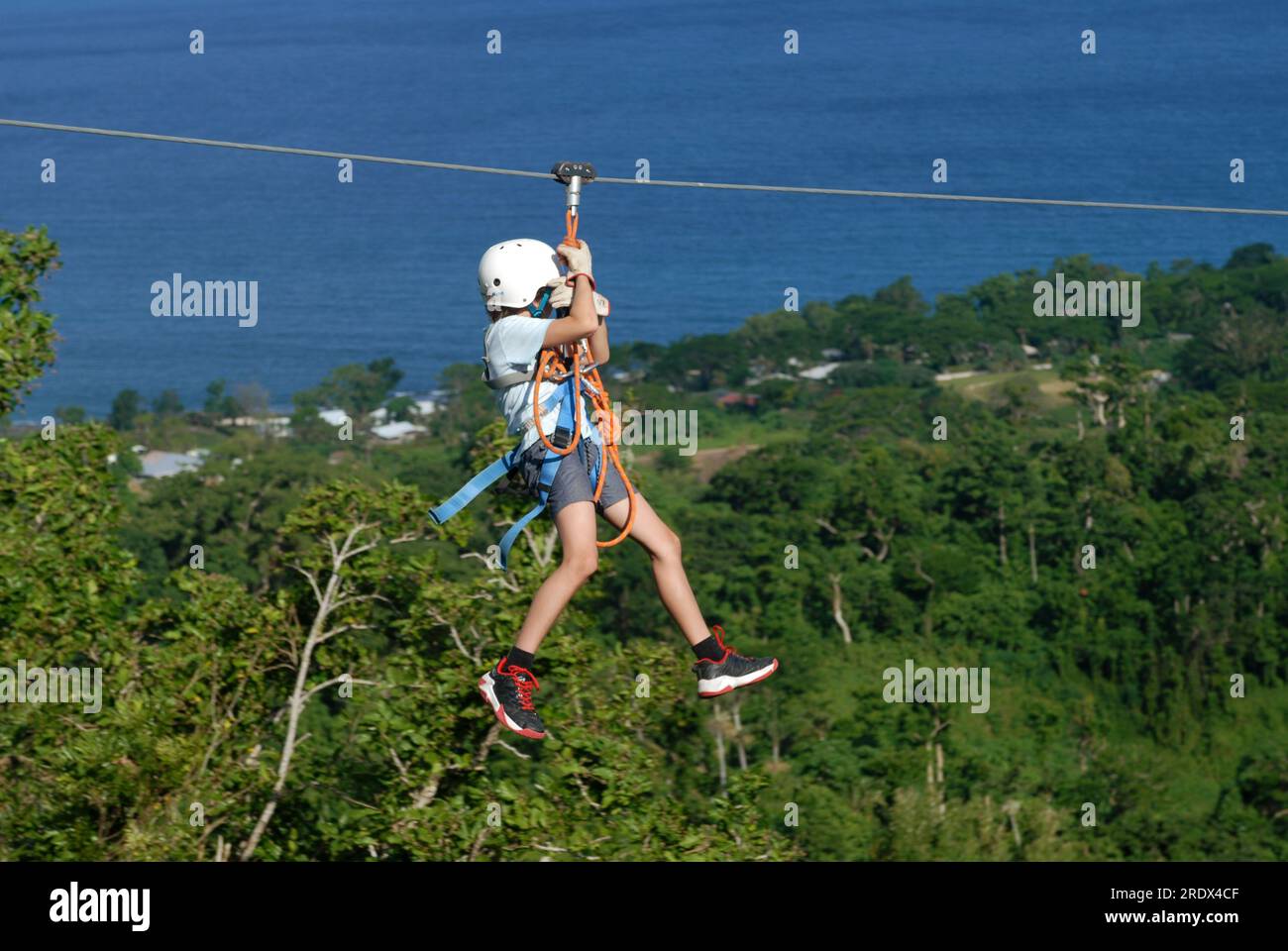 Tourists riding the zipline, Vanuatu Sky Bridge, Devil's Point Rd, Port ...