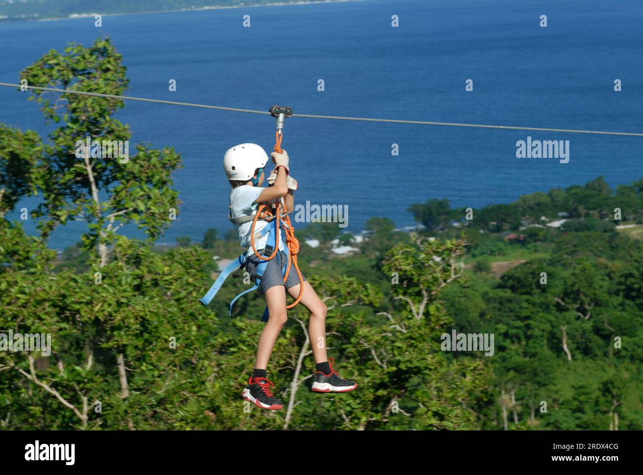 Tourists riding the zipline, Vanuatu Sky Bridge, Devil's Point Rd, Port ...