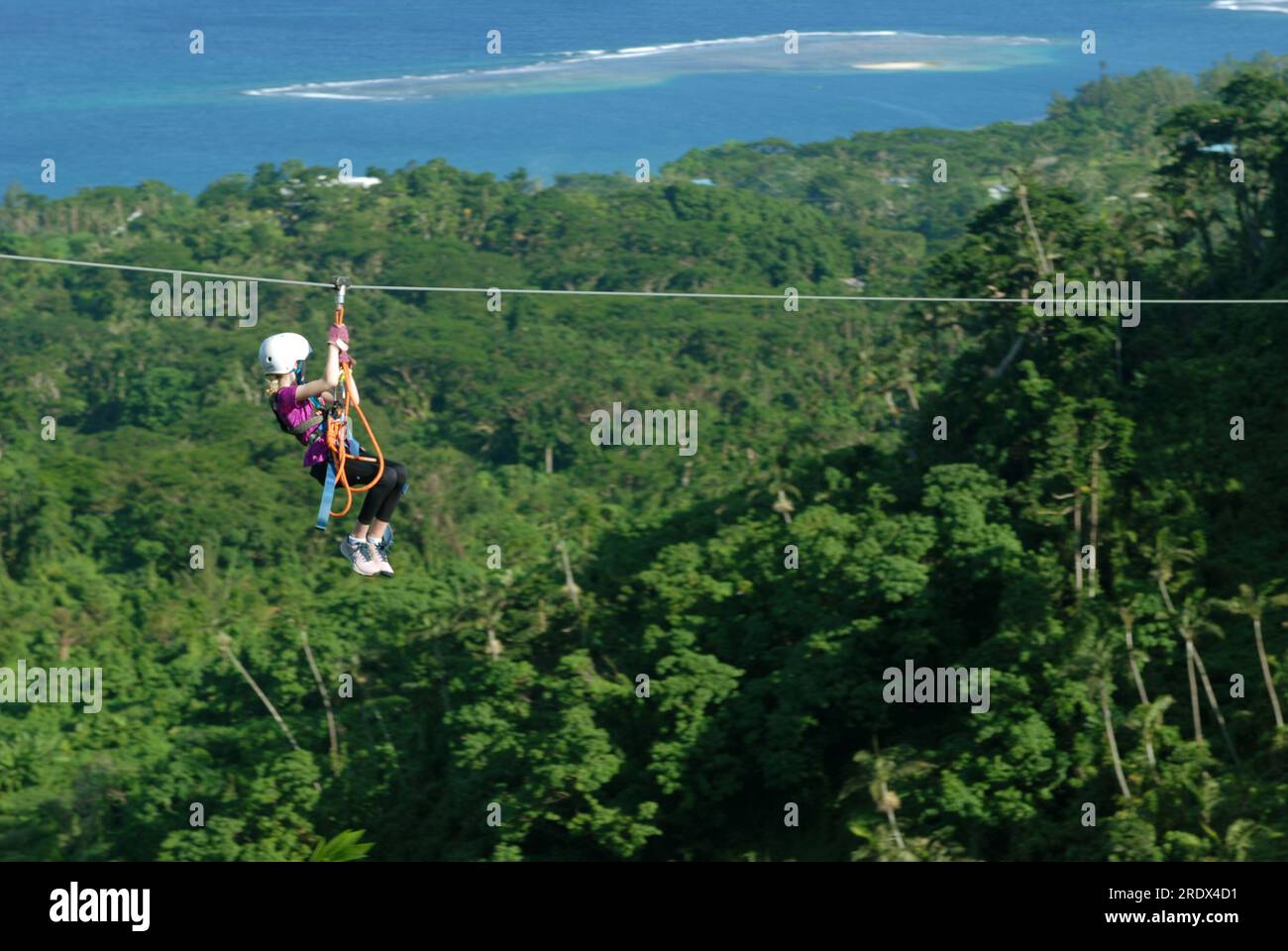 Tourists riding the zipline, Vanuatu Sky Bridge, Devil's Point Rd, Port ...