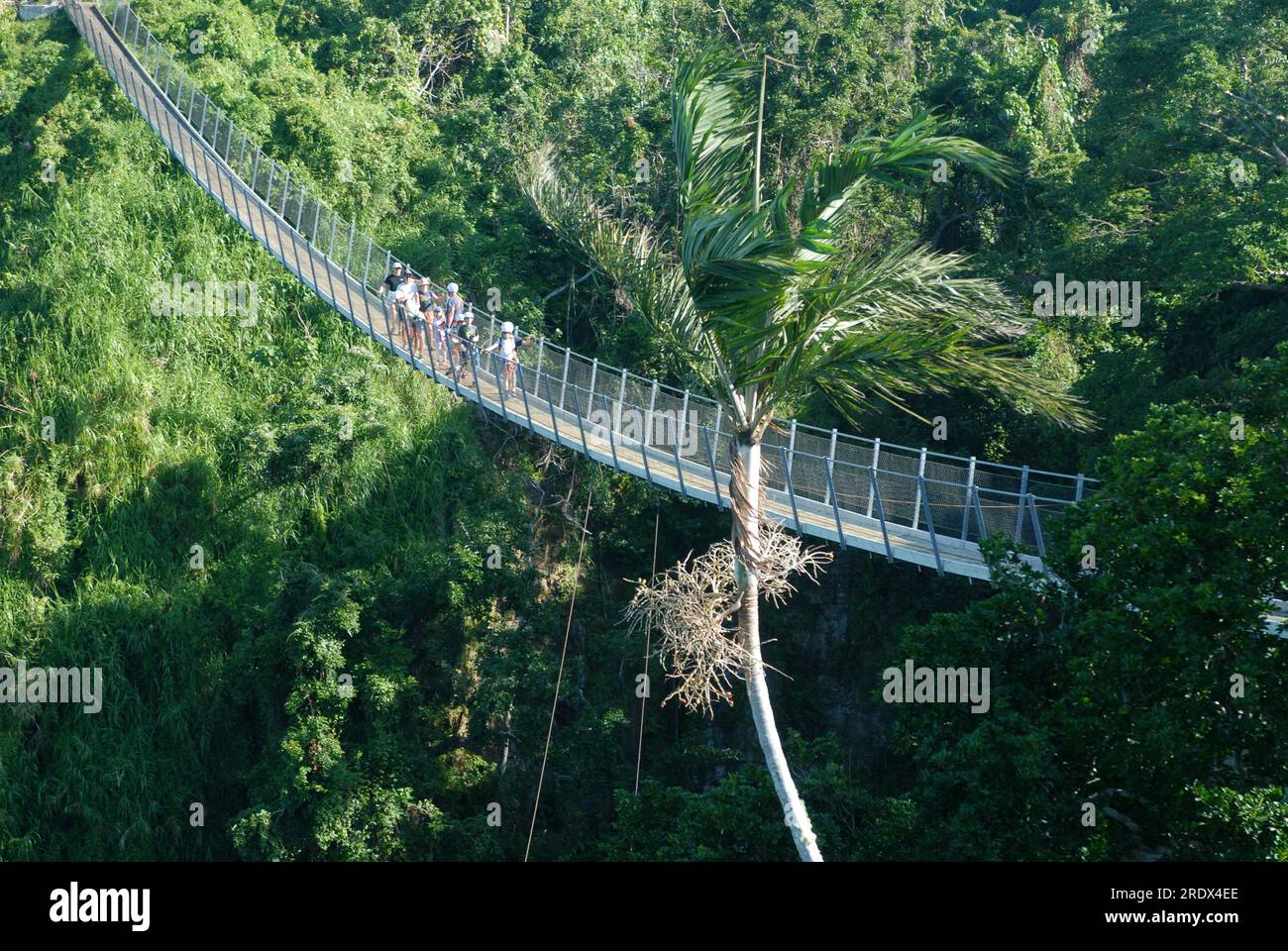 Tourists Vanuatu Sky Bridge, Devil's Point Rd, Port Vila, Vanuatu Stock ...