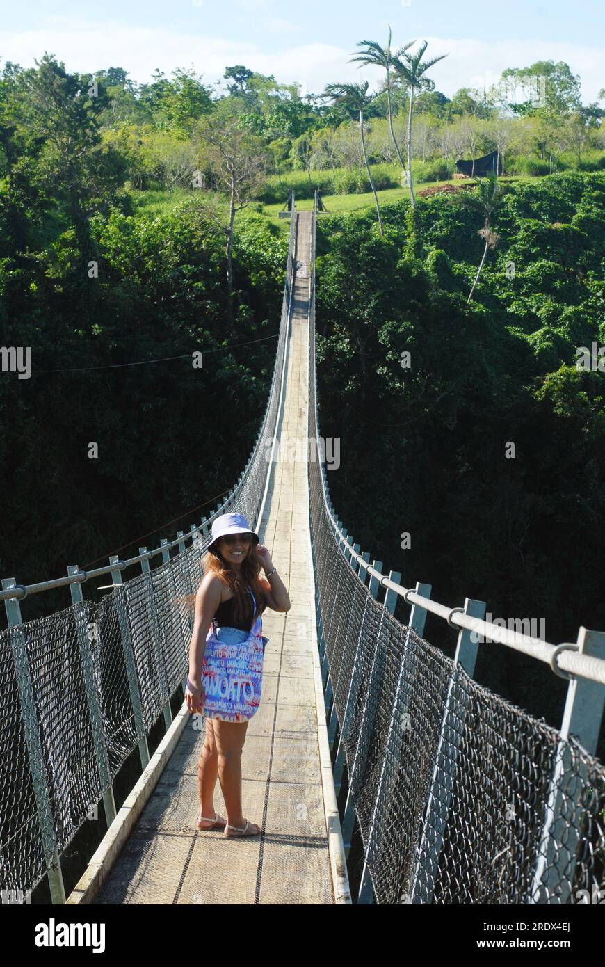 Vanuatu Sky Bridge, Devil's Point Rd, Port Vila, Vanuatu Stock Photo ...