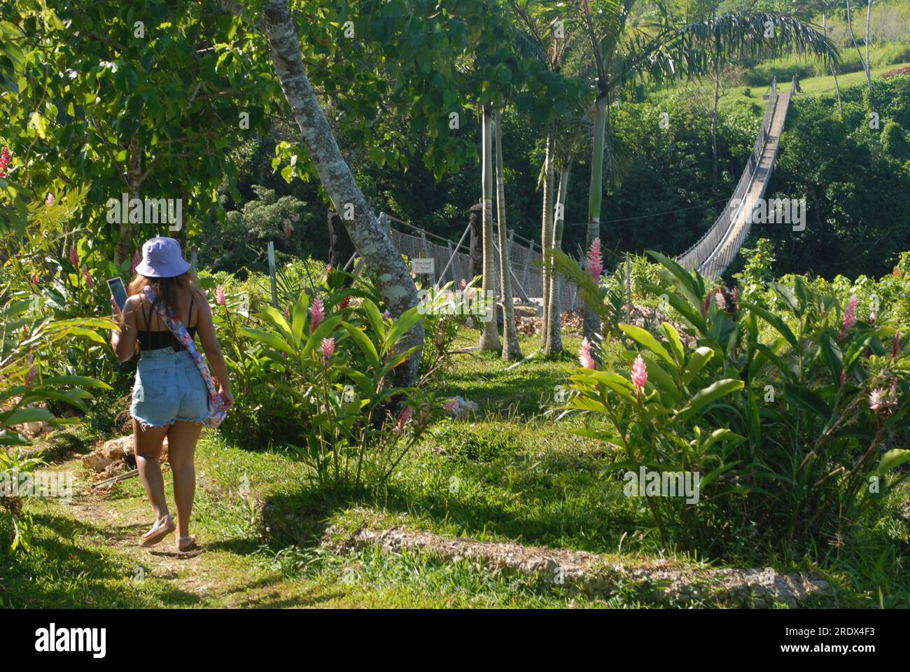 Vanuatu sky bridge hi-res stock photography and images - Alamy