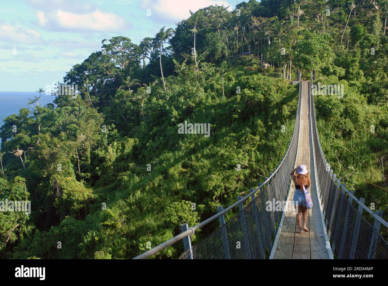 Vanuatu Sky Bridge, Devil's Point Rd, Port Vila, Vanuatu Stock Photo ...