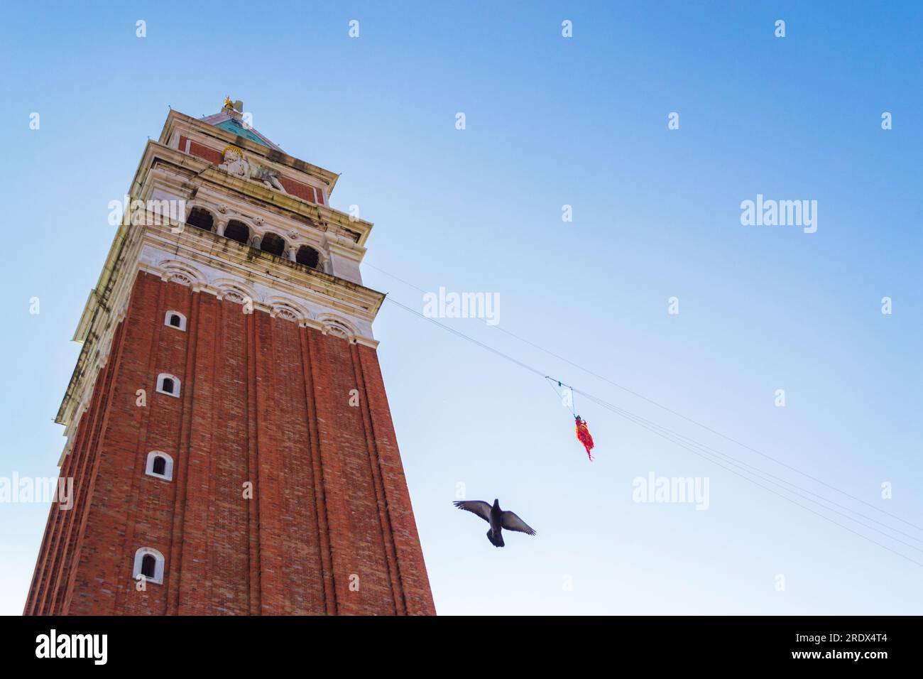 The Flight of the Angel” woman dressed with angel wings tied to a rope ...