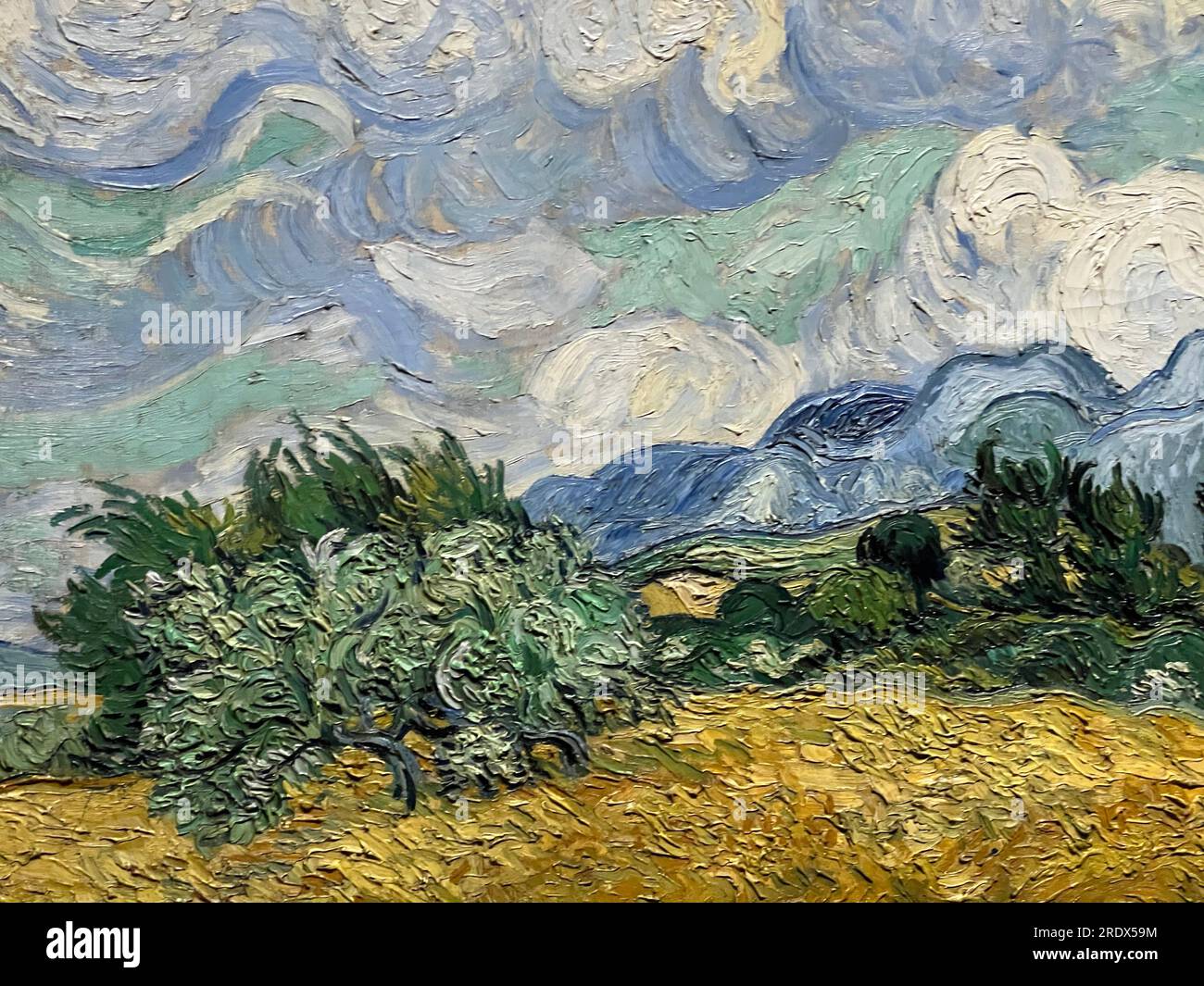 The Metropolitan Museum of Art's exhibit, "Van Gogh's Cypresses" is the ...