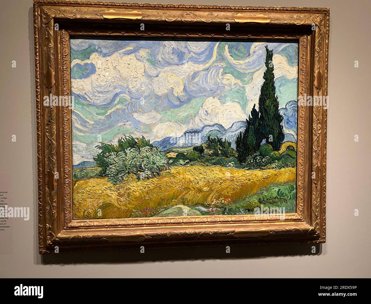 The Metropolitan Museum of Art's exhibit, "Van Gogh's Cypresses" is the ...