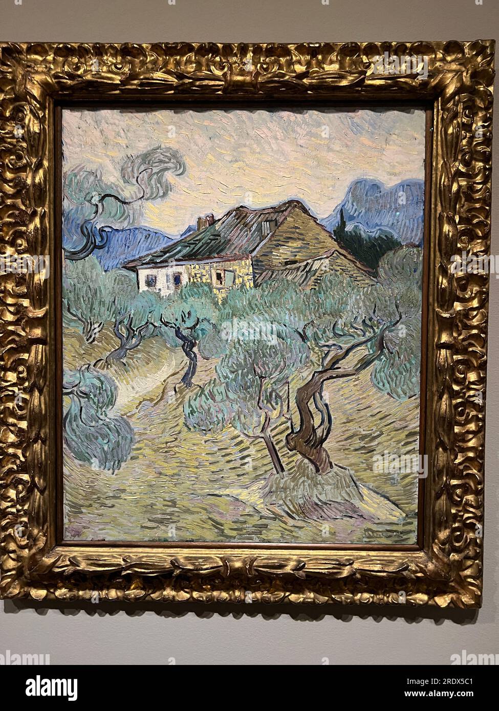 The Metropolitan Museum of Art's exhibit, "Van Gogh's Cypresses" is the ...