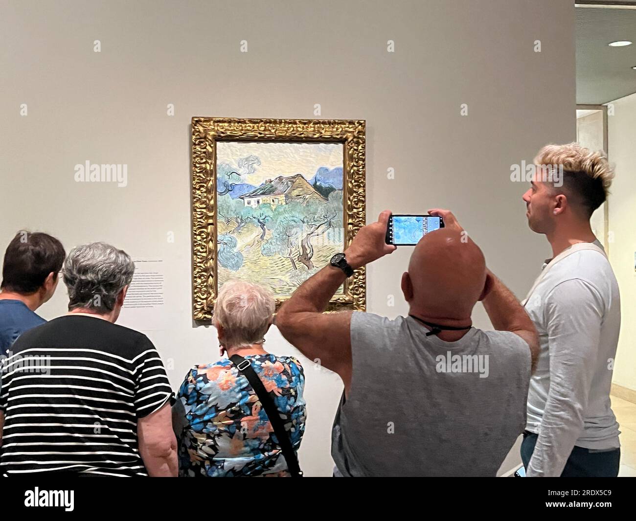 The Metropolitan Museum of Art's exhibit, "Van Gogh's Cypresses" is the ...