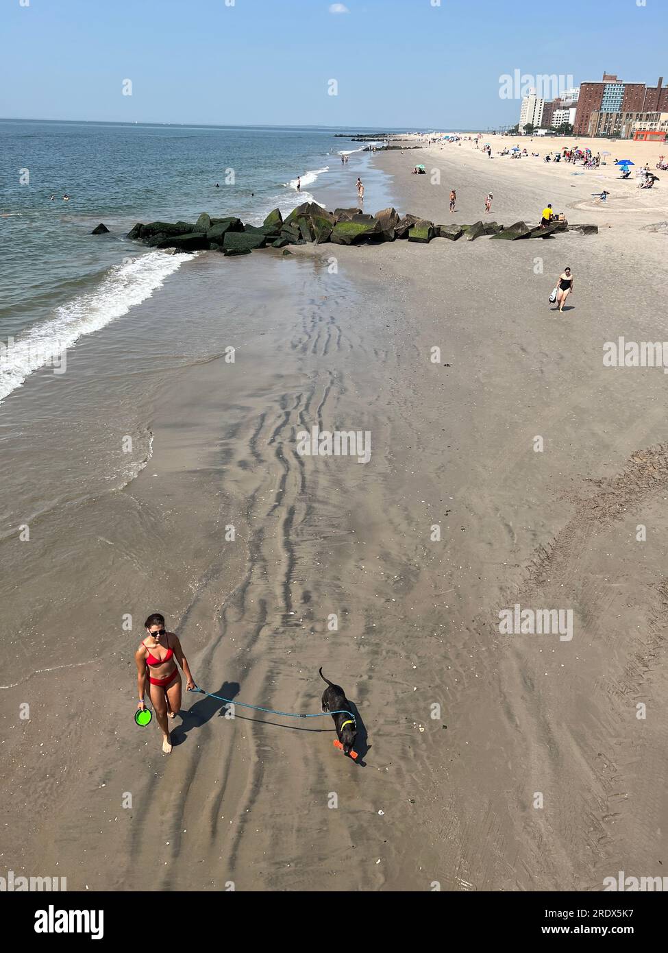 Woman walks along the beach by the Atlantic Ocean with her dog at Coney ...