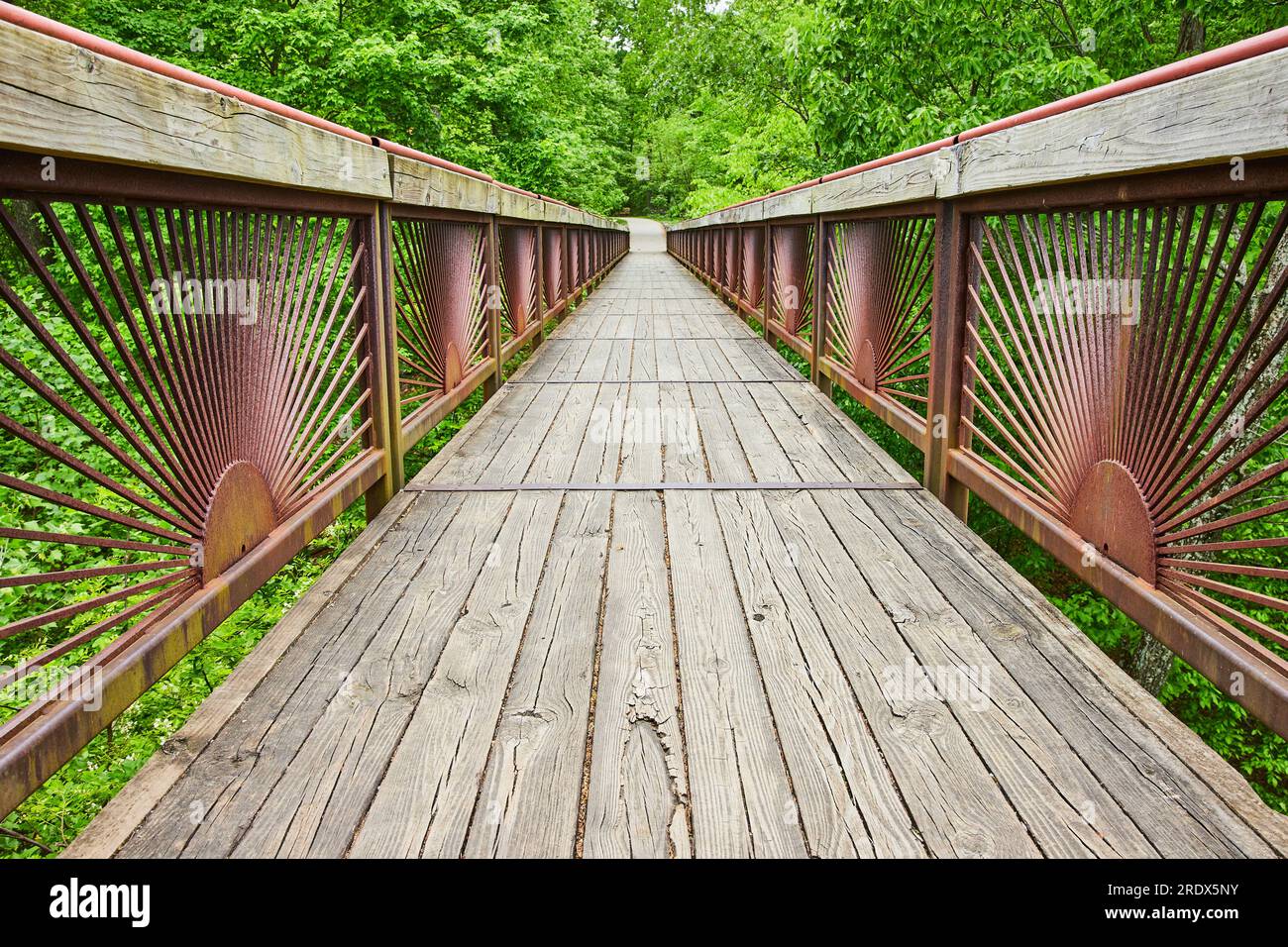 Low angle on gorgeous bridge leading into lush green forest with trail ...