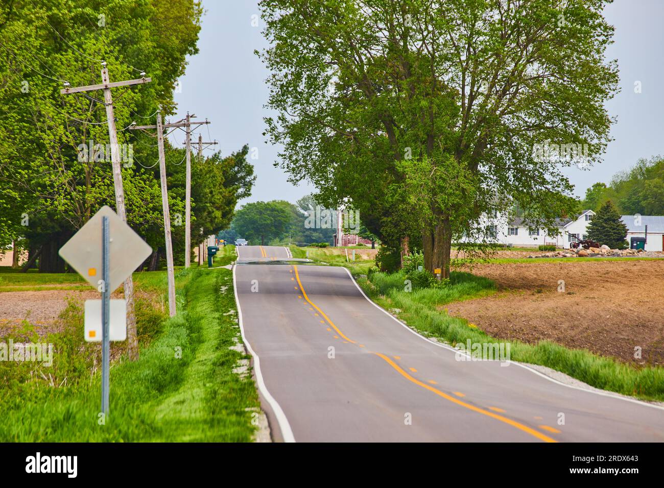 Country road, lone car, farm and field, trees and telephone poles Stock ...