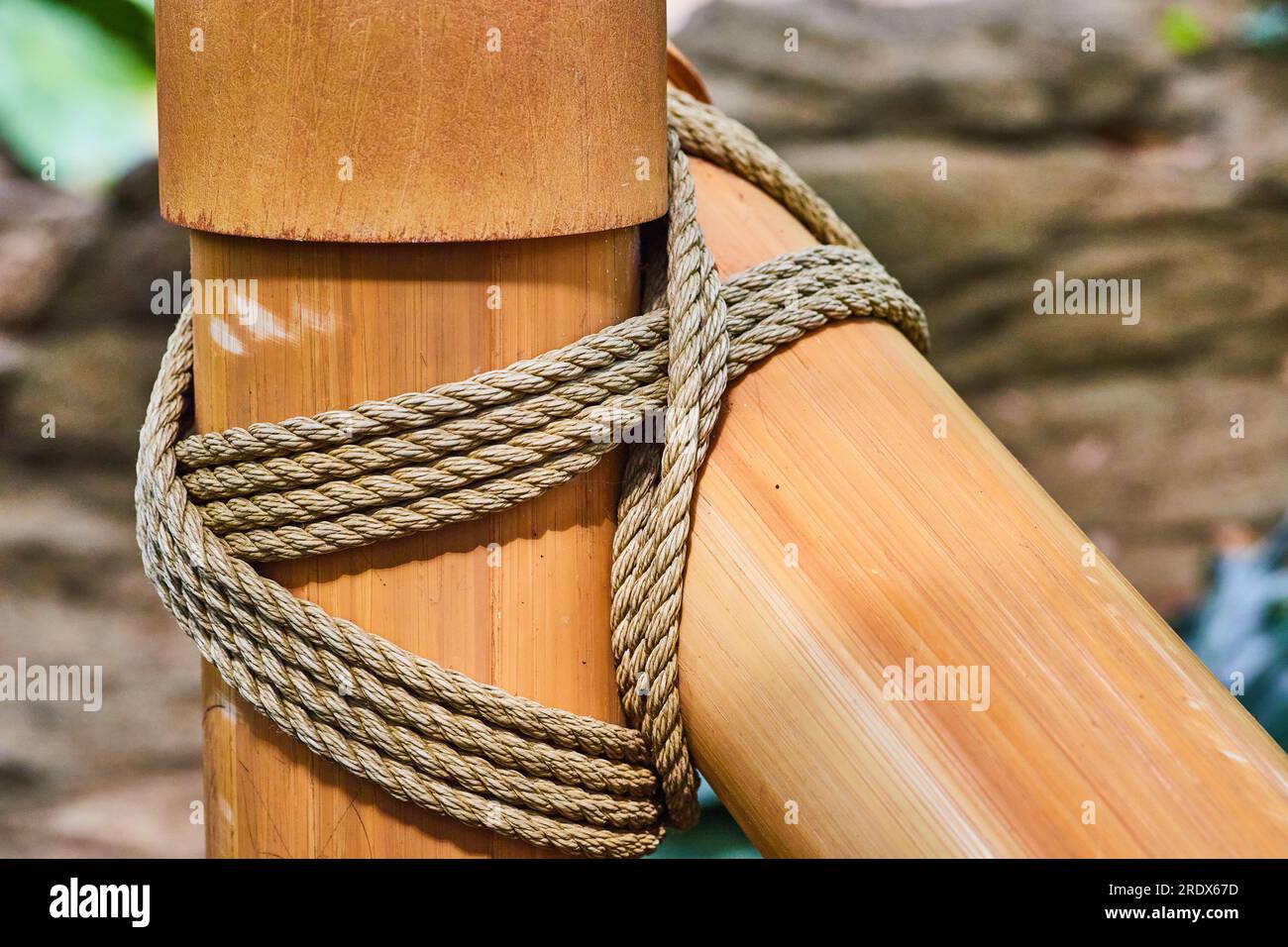 Shiny bamboo poles hi-res stock photography and images - Alamy