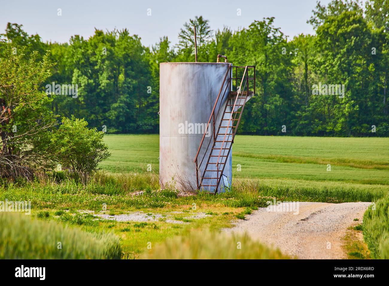 Abandoned silo like structure in farmers field of green grains at end ...