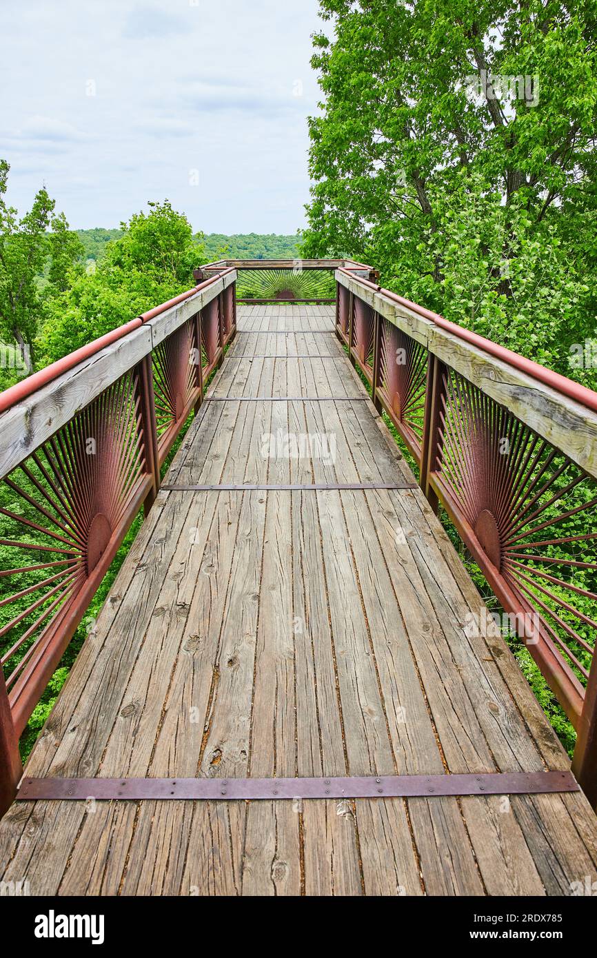 Bernheim Forest boardwalk bridge leading to tree top overlook with ...