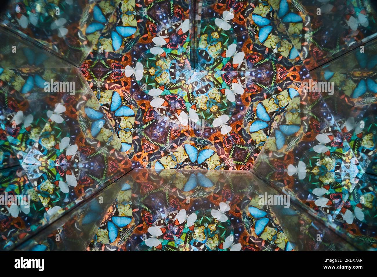 Botanical Conservatory butterfly exhibit interior of kaleidoscope Stock ...