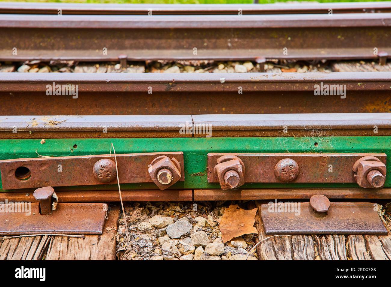 Low view of green metal along nuts and bolts on train tracks with leaf ...