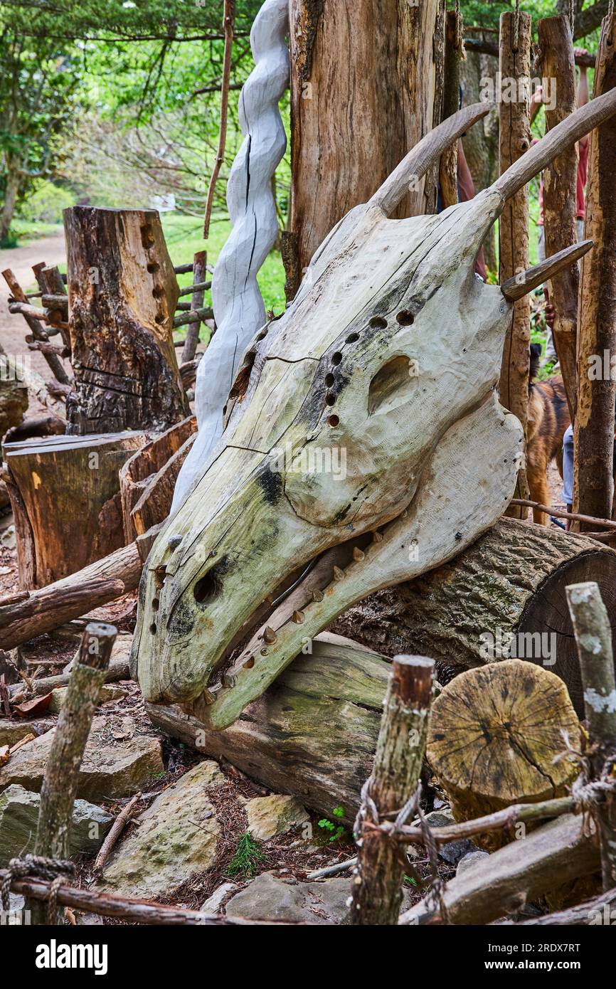 Side view of wooden dragon skull on wood logs next to tall white ...