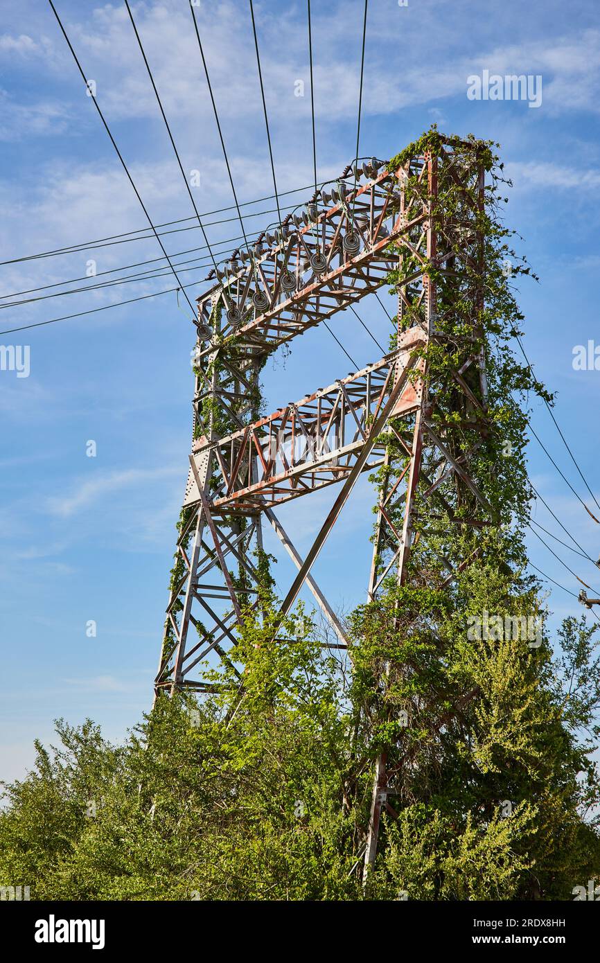 Overgrown power lines, electrical tower, wires, abandoned, decaying ...