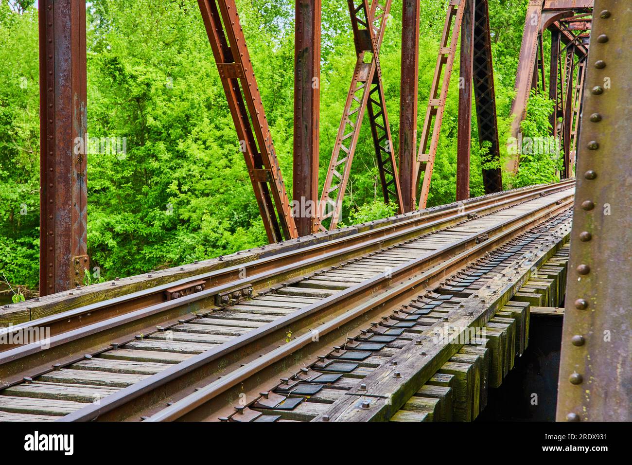 Wall of green leaves behind rusty iron beams of truss railroad bridge ...