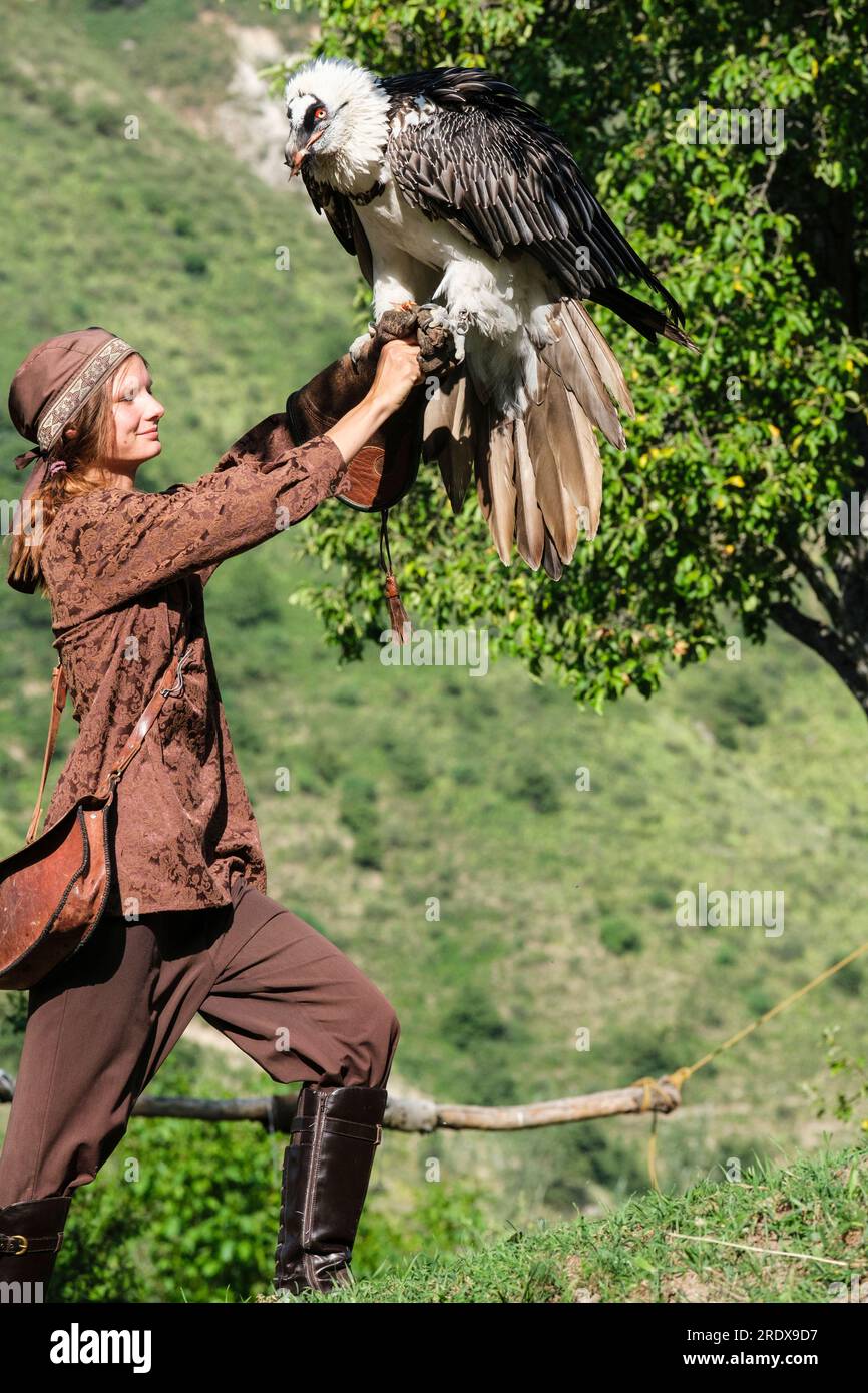 Kazakhstan, Almaty. Sunkar Falcon Center Show Demonstrating Bearded ...