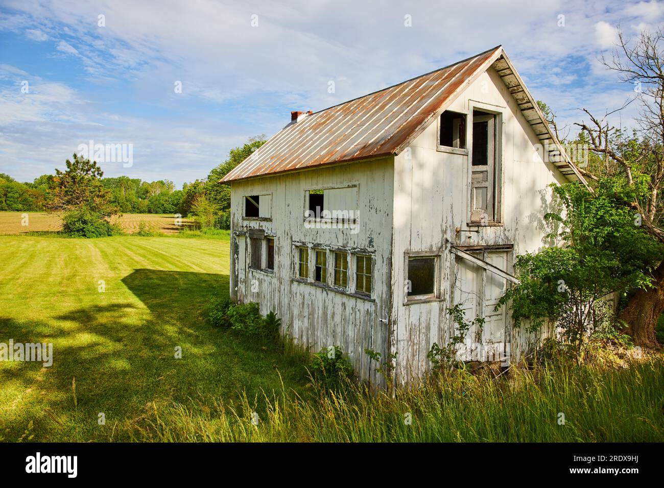Abandoned farm house in field with busted windows and door next to dead ...