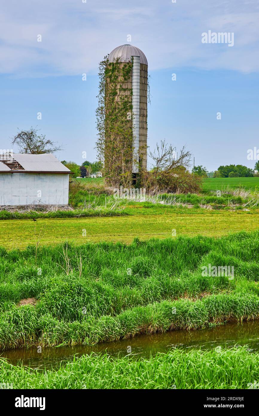 Silo in summer with blue sky, green grass, creek ditch, green ivy ...