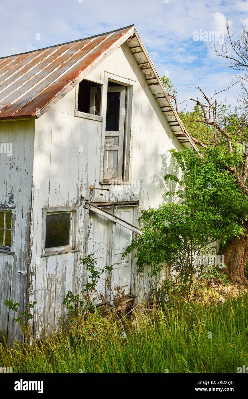Run down abandoned white building in country with gnarly tree and ...