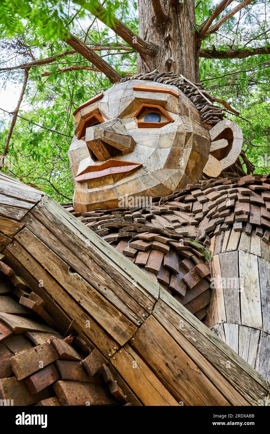 Forest Giant Mama Loumari with green tree leaves behind her head and ...