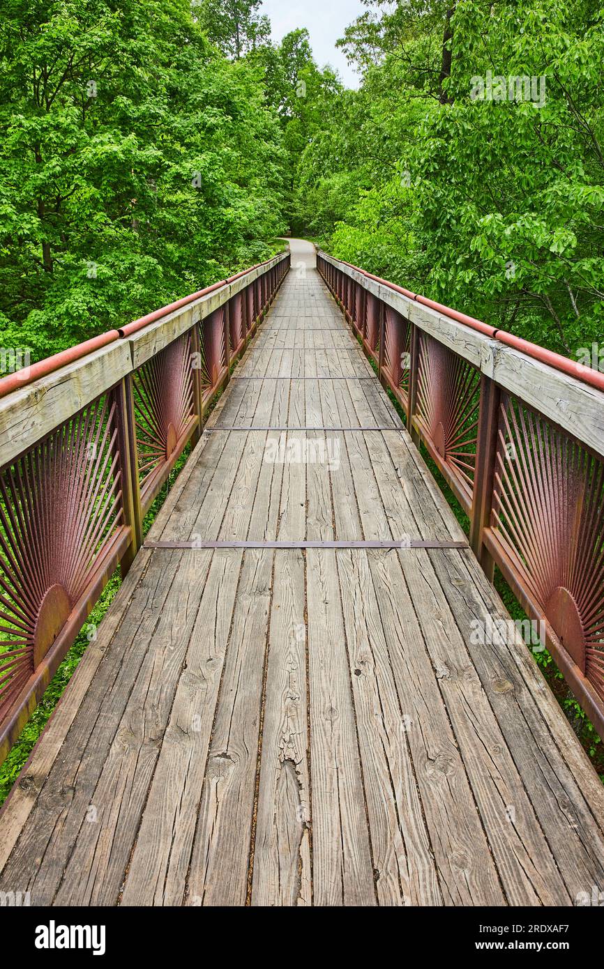 Boardwalk view from bridge with lush green forest and artistic metal ...