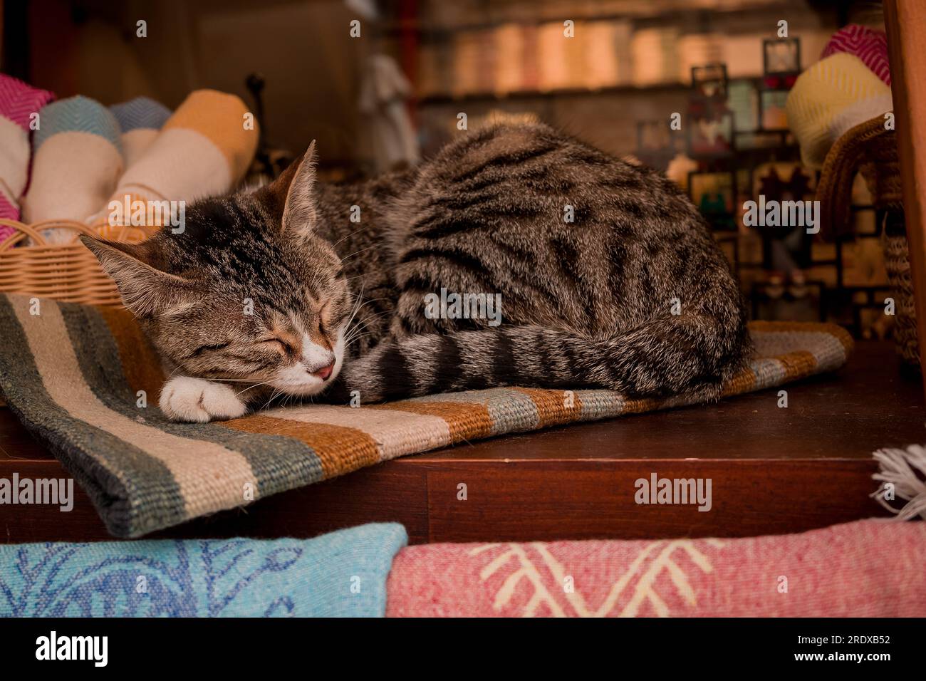 Surprised slipping hi-res stock photography and images - Alamy