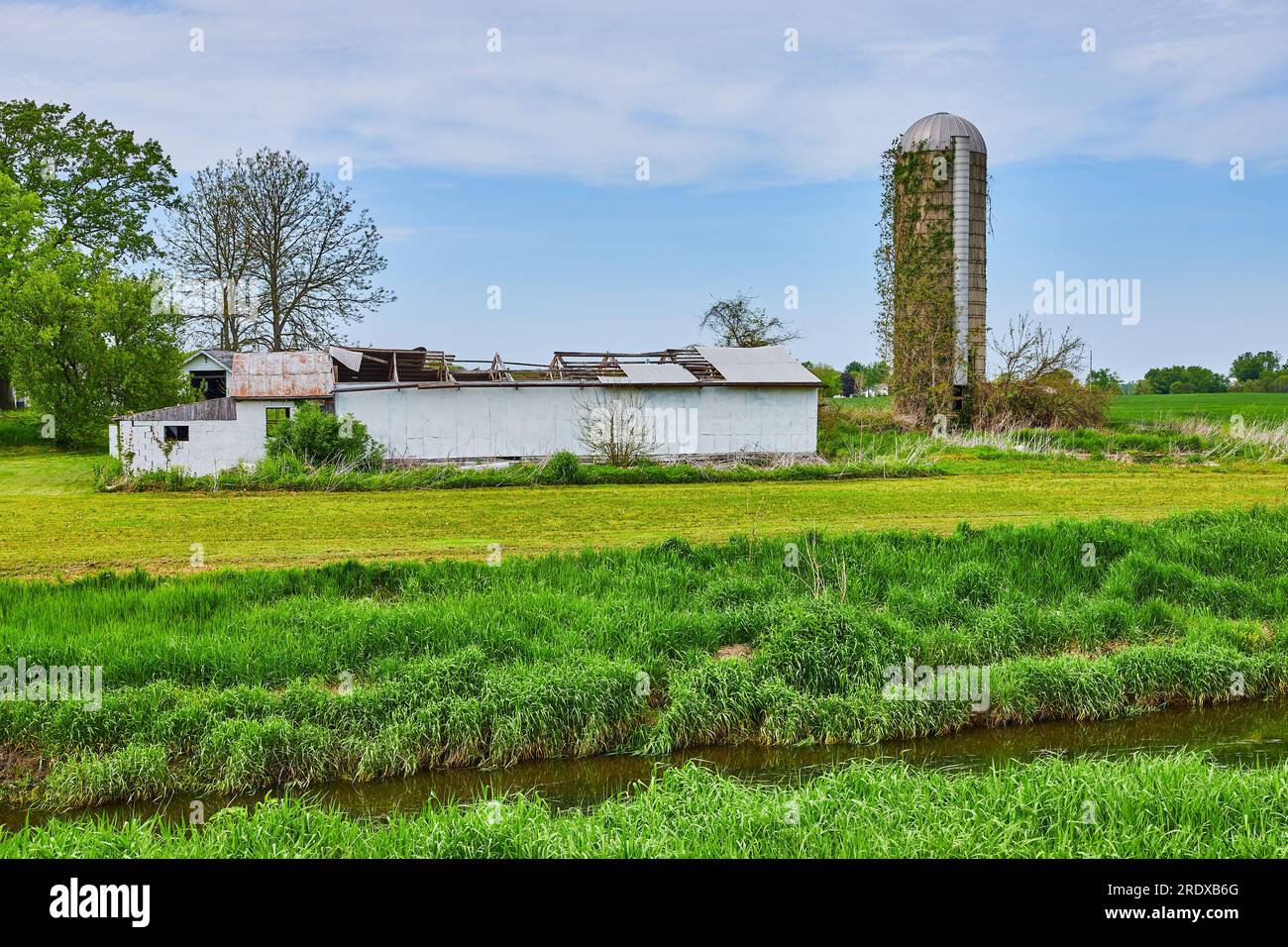 Farmland with runoff ditch summer corn grain silo covered in ivy and ...