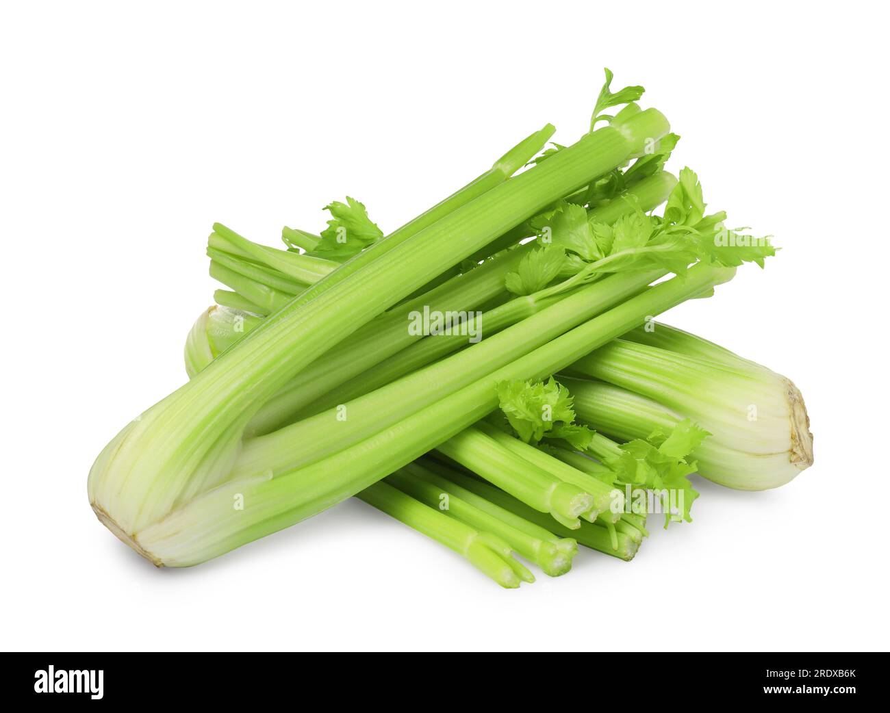Fresh green celery bunches isolated on white Stock Photo - Alamy