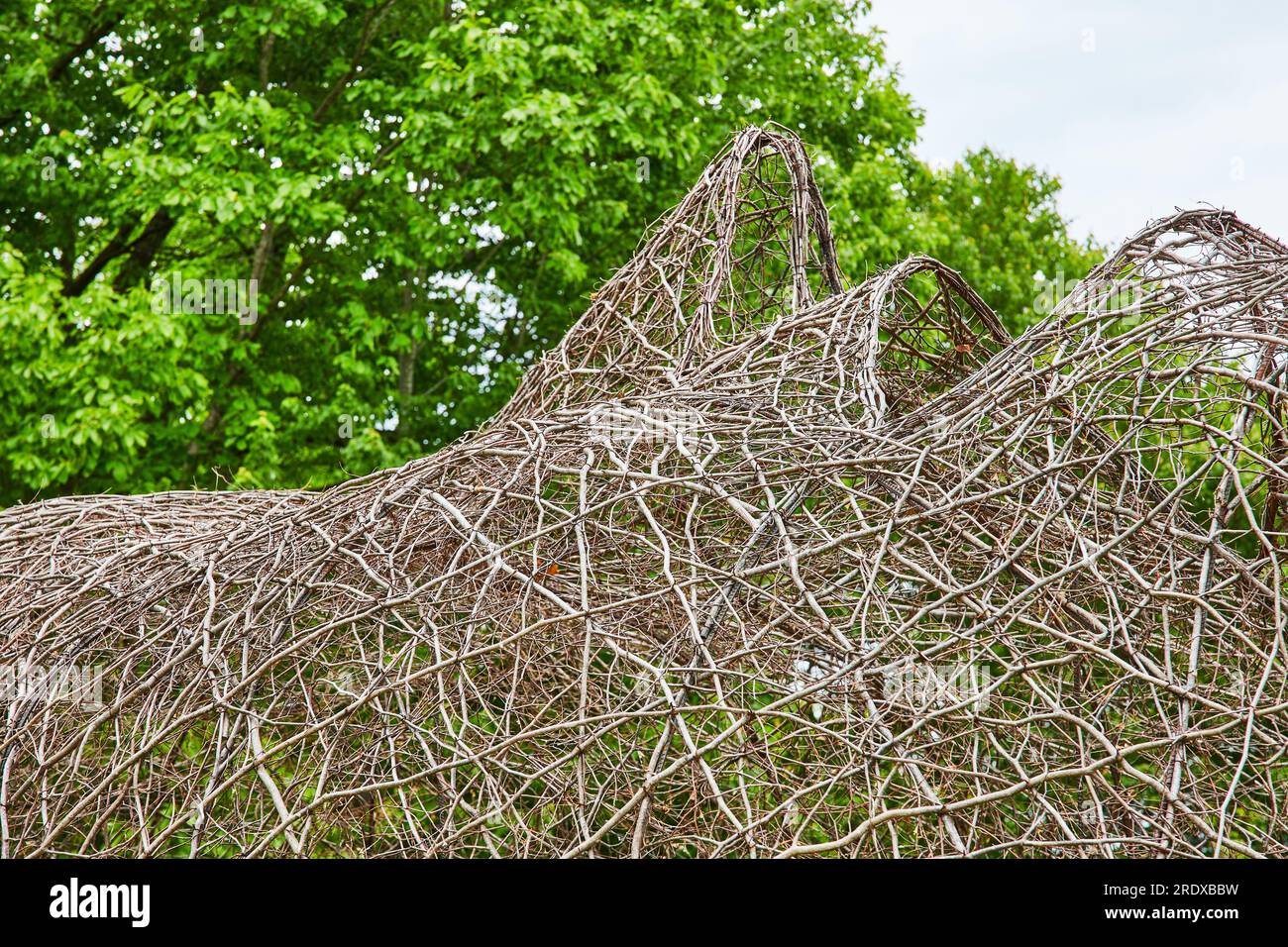 Aris background hi-res stock photography and images - Alamy